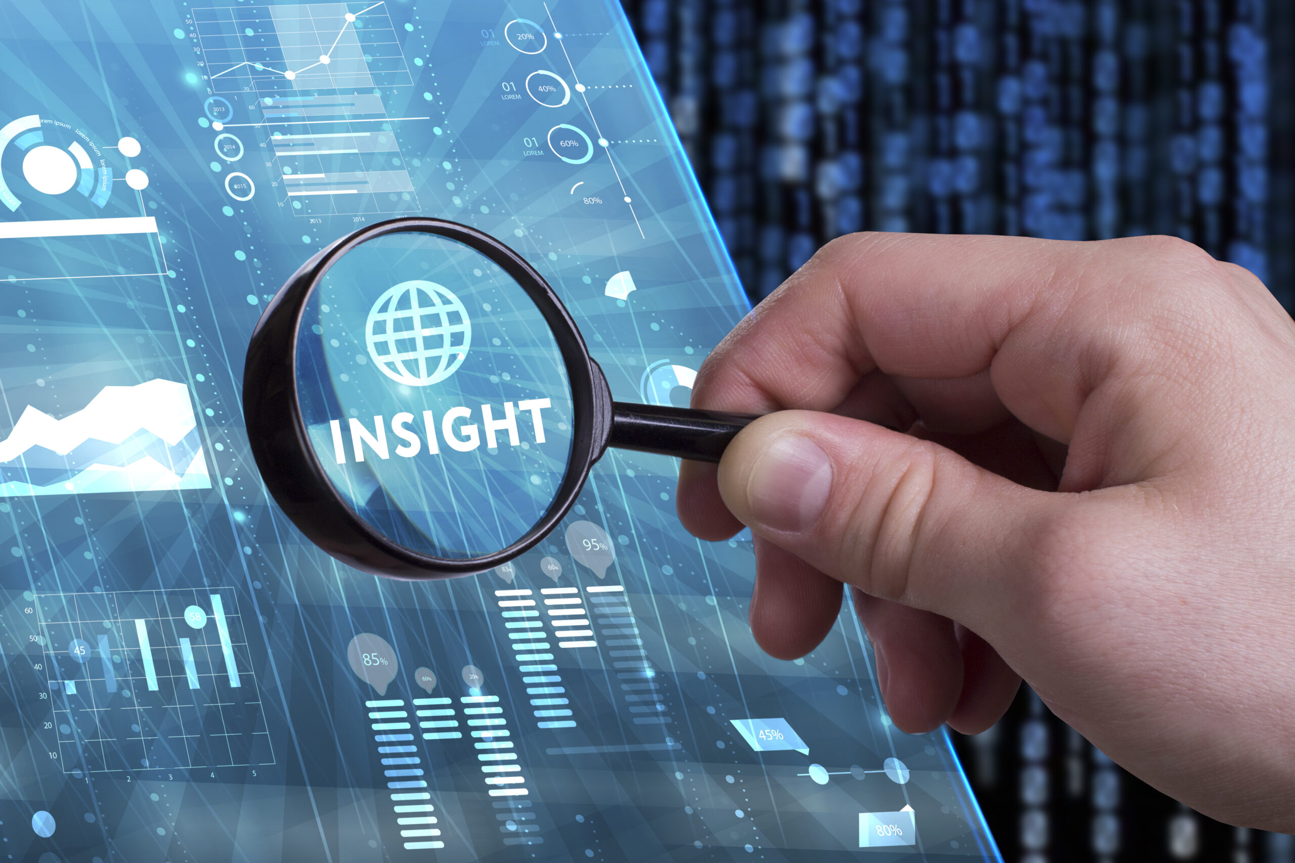 Why are customer insight businesses projected to grow at 27-40%?